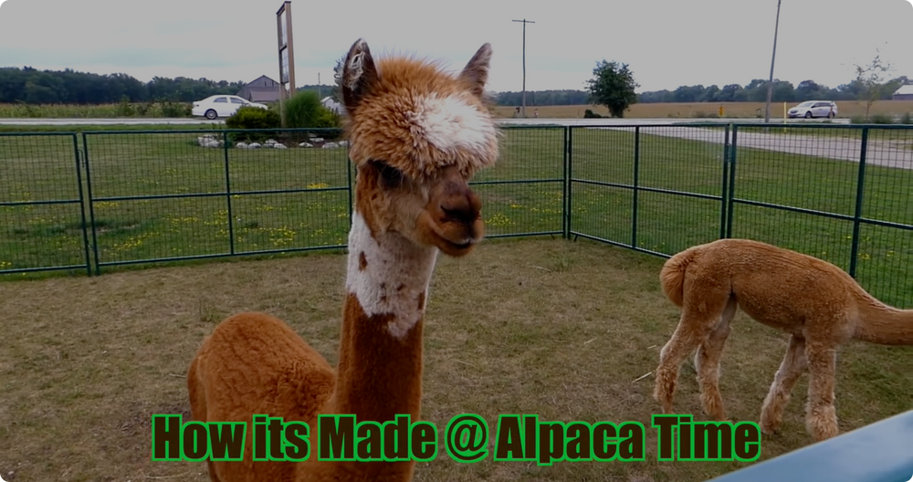 Alpaca Time - Your One-Stop Shop for Alpaca Products